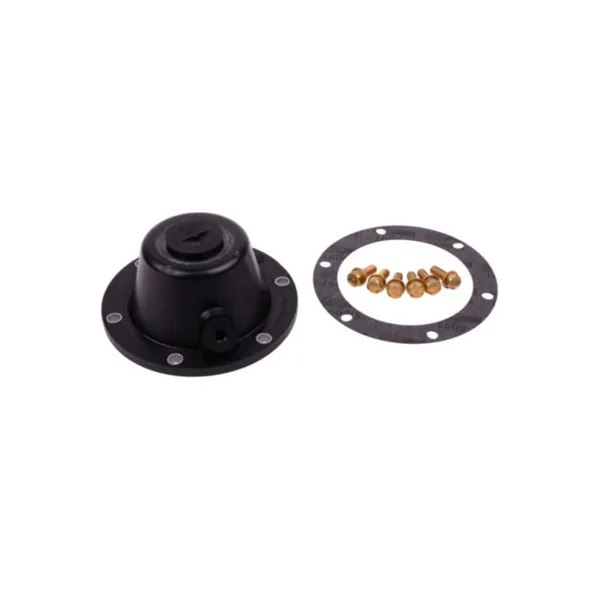 Hub Cap 2519530C91